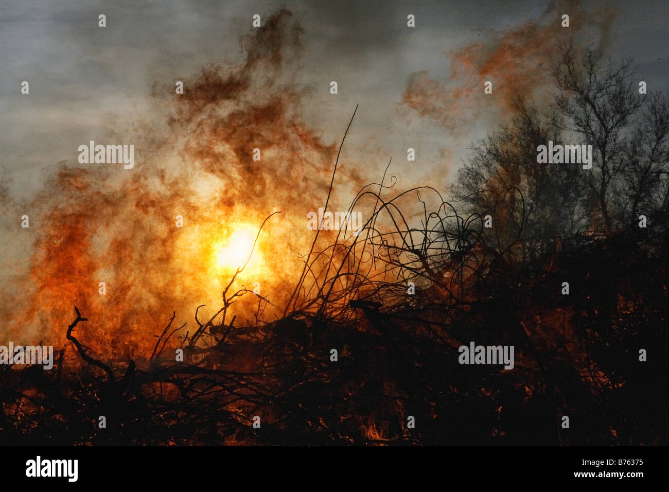 Wildfire sun hi-res stock photography and images - Alamy
