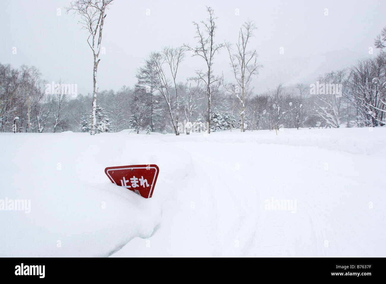 A stop sign almost obscured by deep snow in Niseko, Japan Stock Photo ...