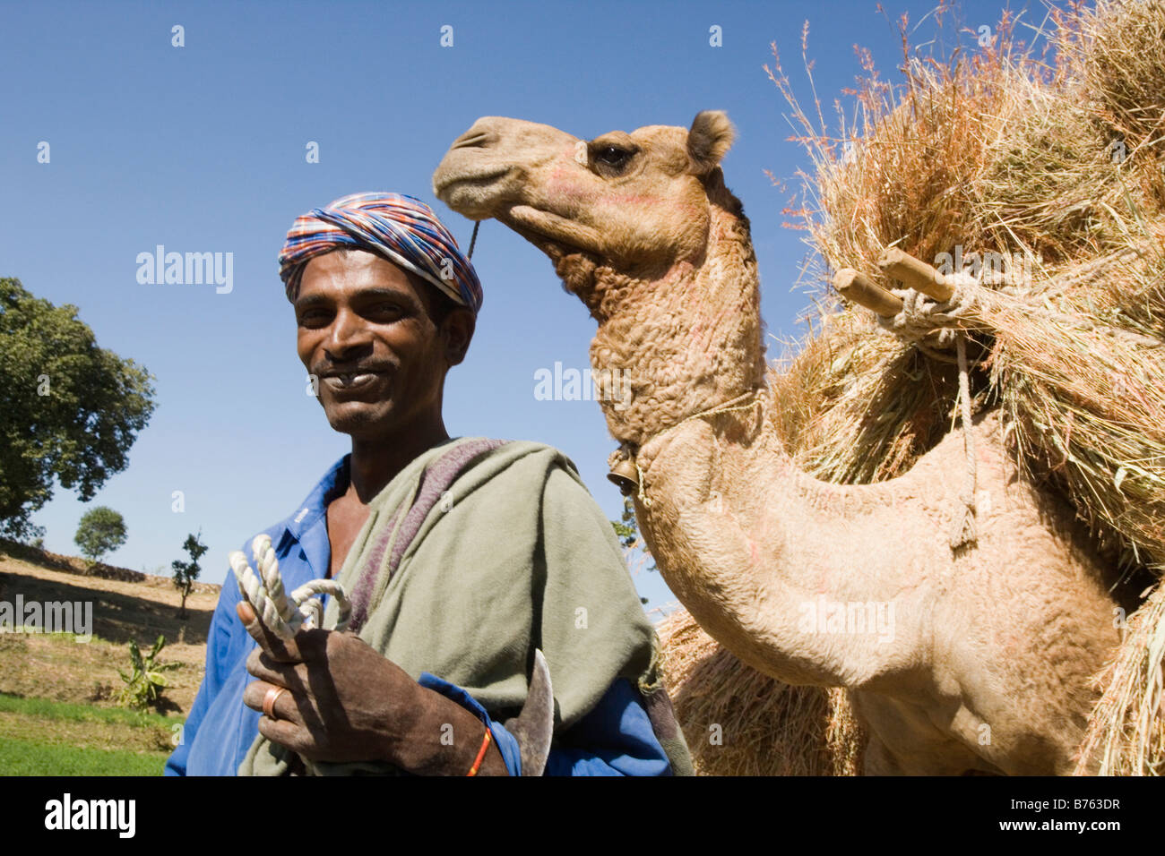 Man standing with his camel, Kumbhalgarh, Udaipur, Rajasthan, India ...
