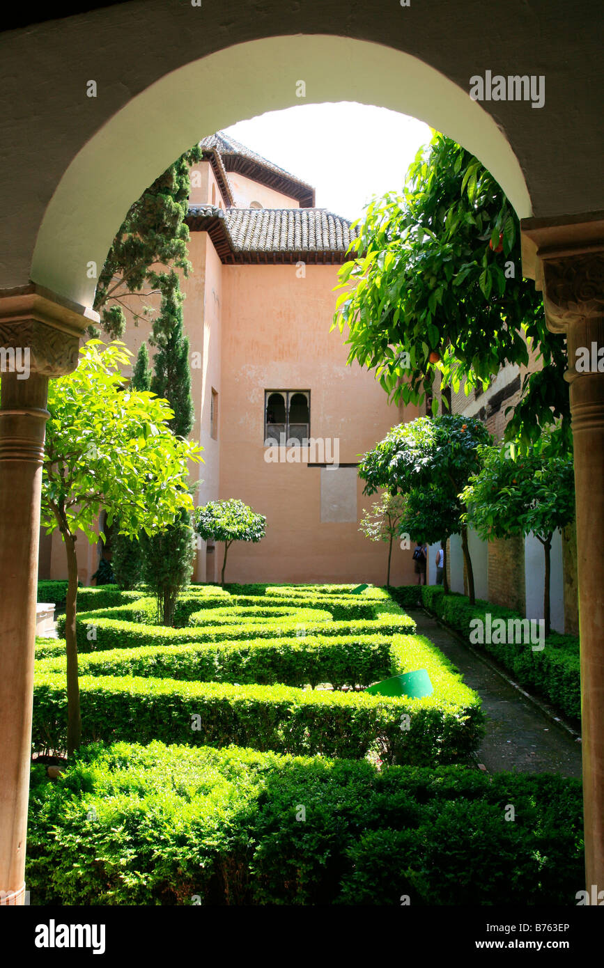 Spain hedges trees hi-res stock photography and images - Alamy