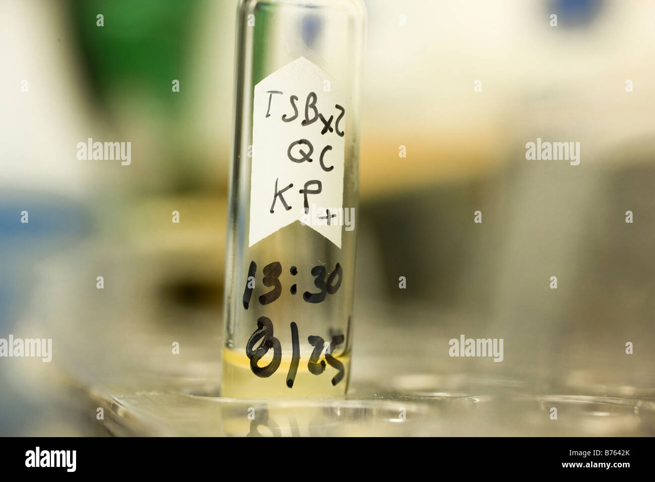 Sample in test tube in laboratory Stock Photo - Alamy