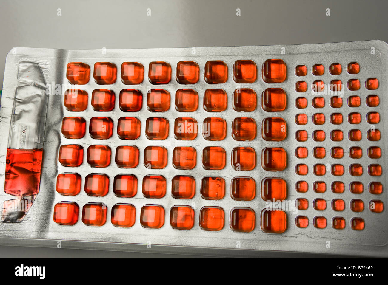 Blood samples in laboratory Stock Photo - Alamy