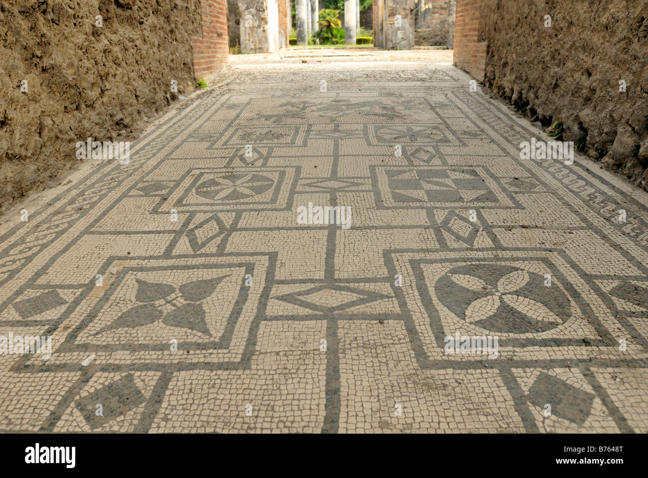 The mosaic at entrance of the Casa del Cinghiale, the House of the Wild ...
