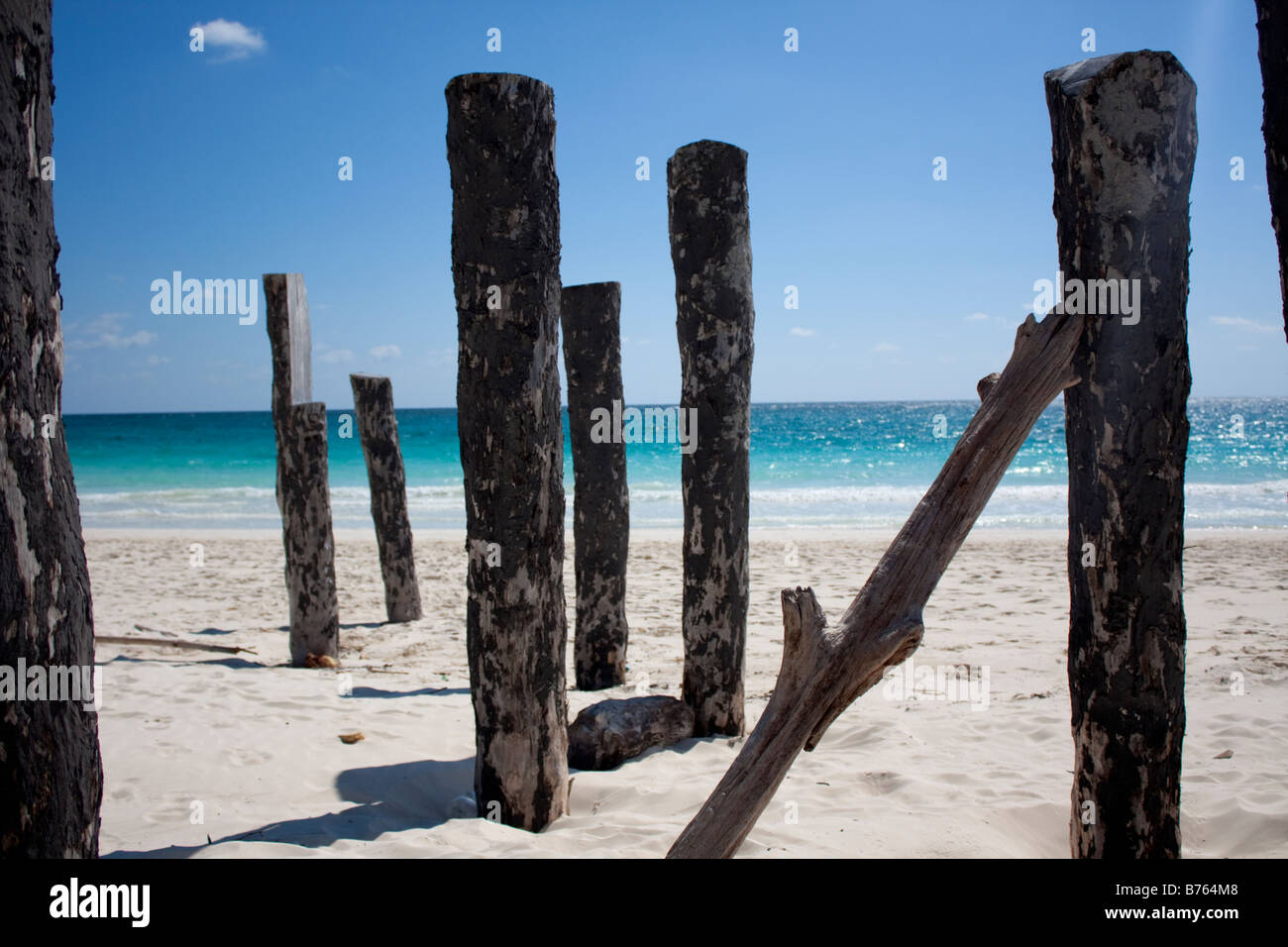 Posts from an old pier in Mexico Stock Photo - Alamy