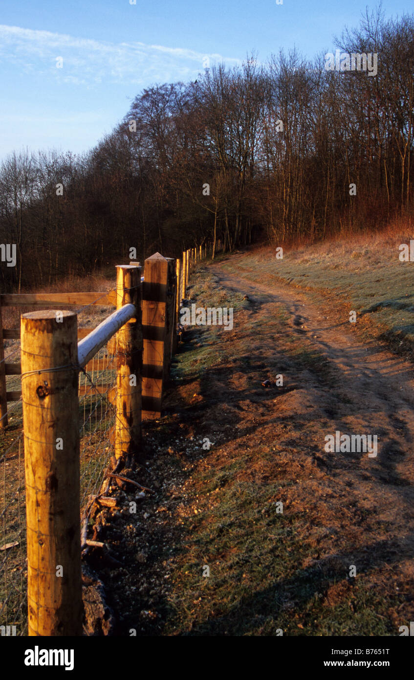 Sunrise view of path, fence and trees in the countryside, Surrey ...
