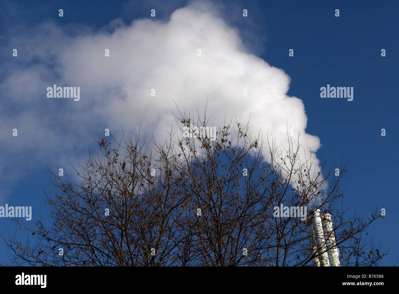 Emissions from the chimney of a commercial waste disposal incinerator ...
