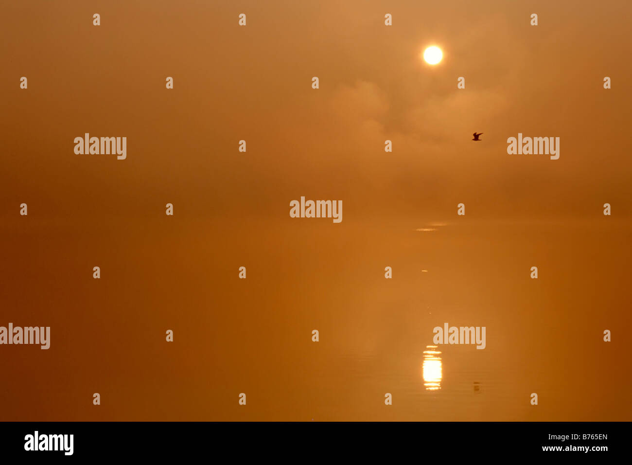 Dawnmerung hi-res stock photography and images - Alamy