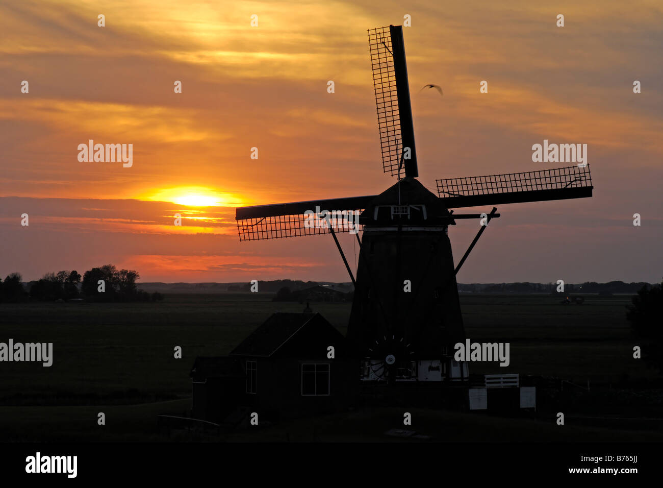 dutch windmill red sunset backlight texel island north holland europe ...