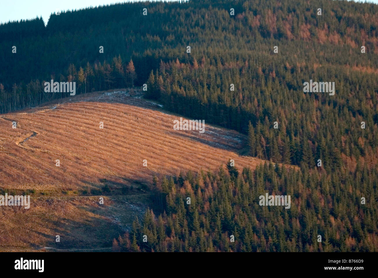 Sunset colours in the Tweed Valley, Borders, Scotland Stock Photo - Alamy