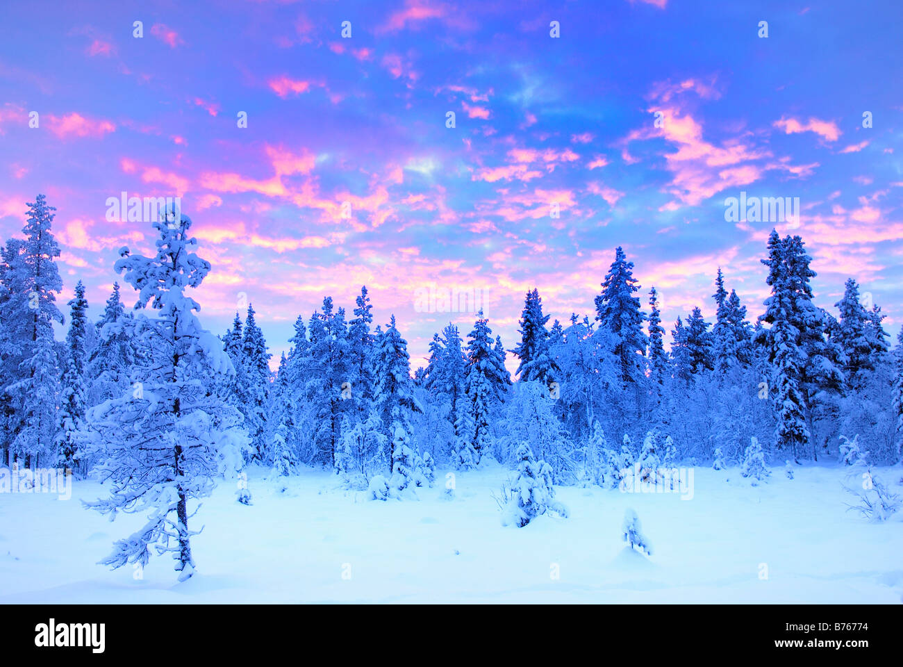 Scandinavian Landscape Winter