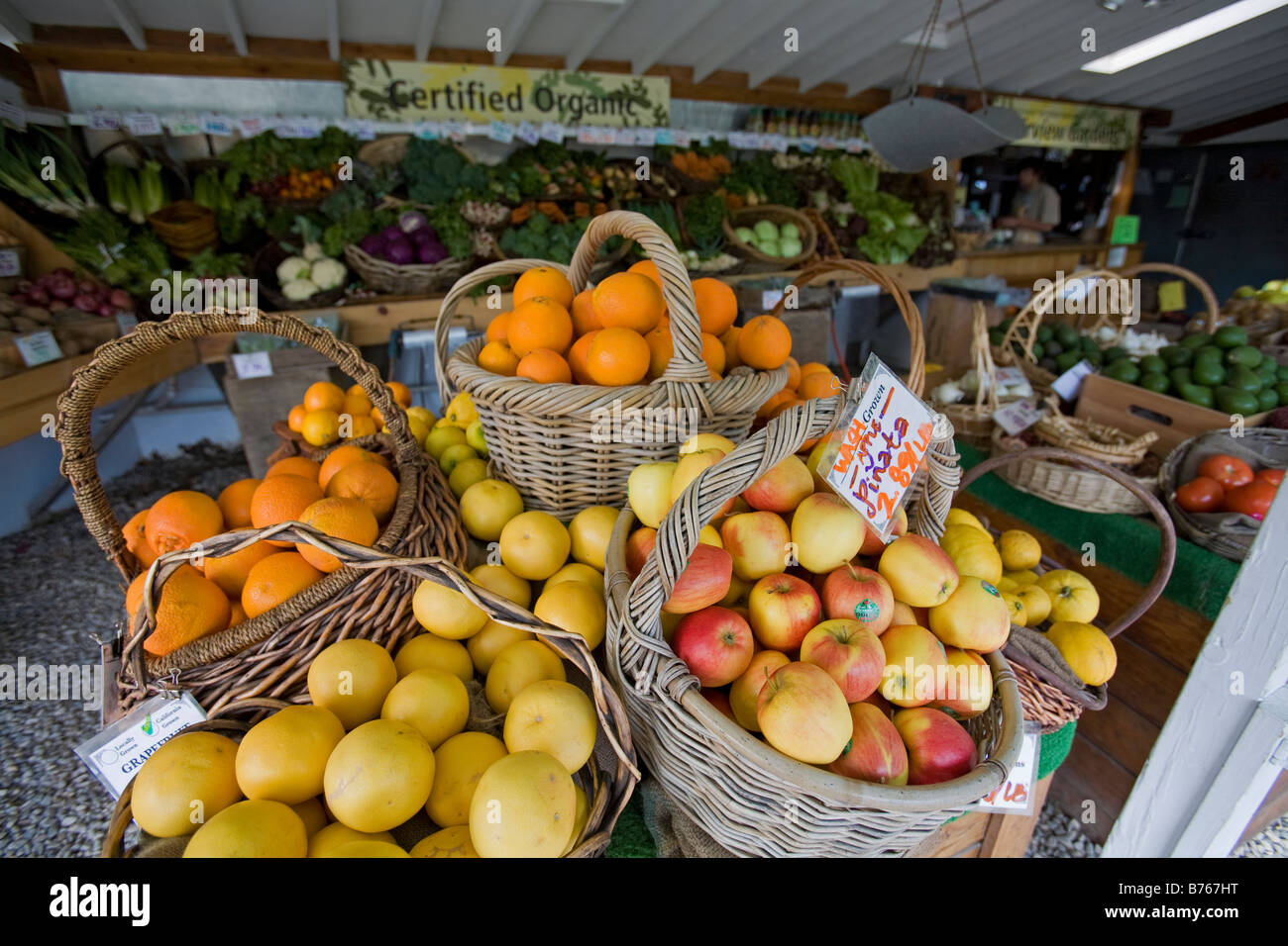 The Center for Urban Agriculture at Fairview Gardens is one of the ...