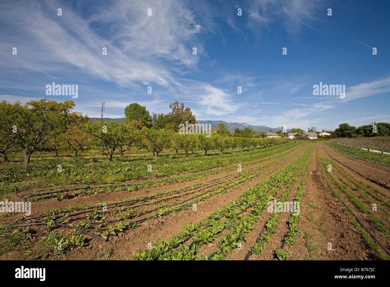 Fairview gardens hi-res stock photography and images - Alamy