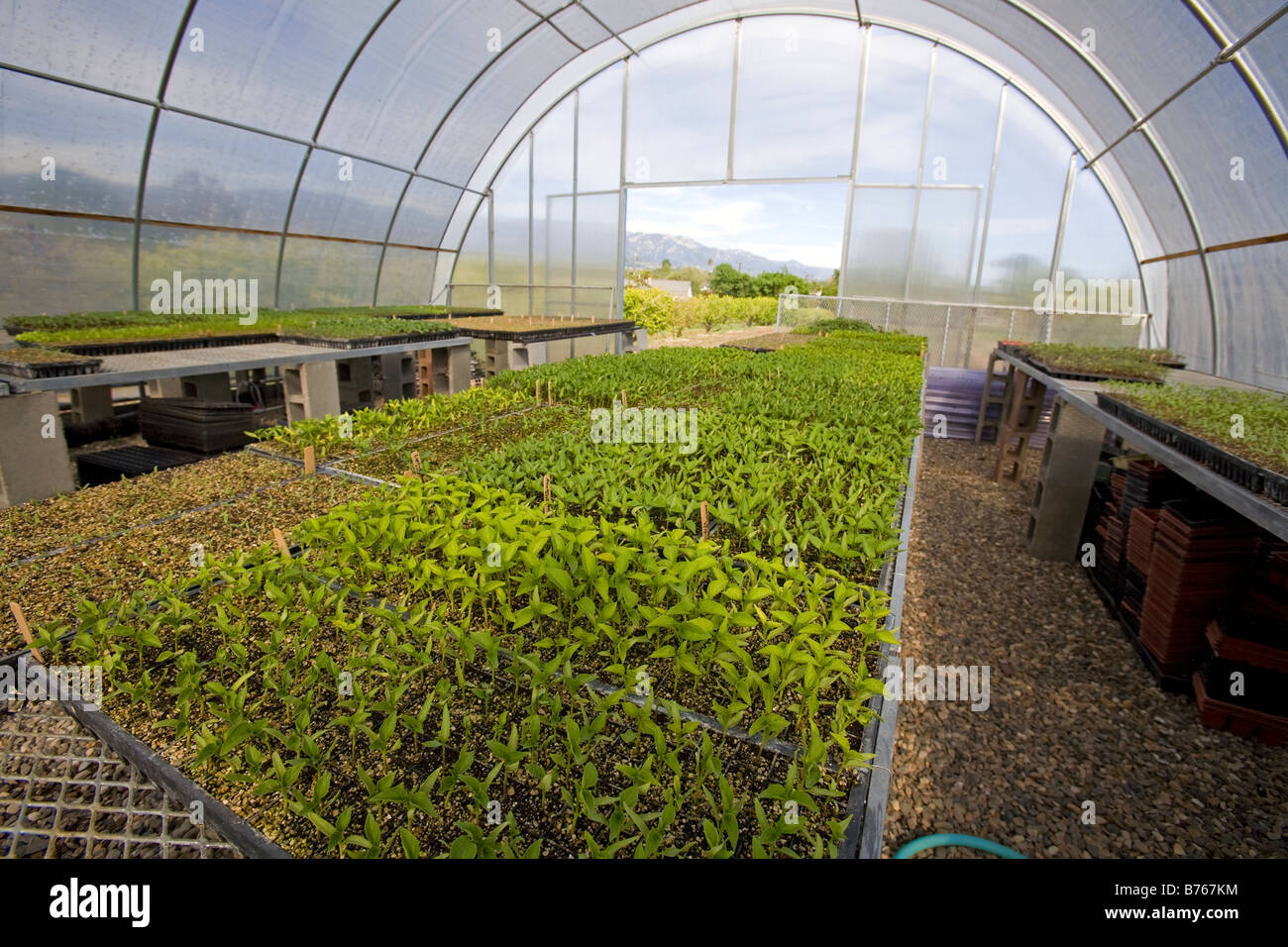 The Center for Urban Agriculture at Fairview Gardens is one of the ...