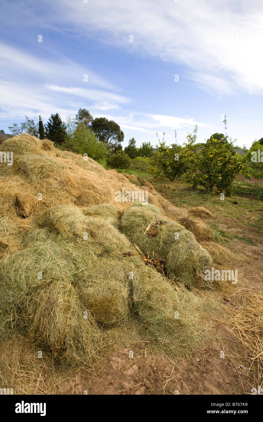 Fairview gardens hi-res stock photography and images - Alamy
