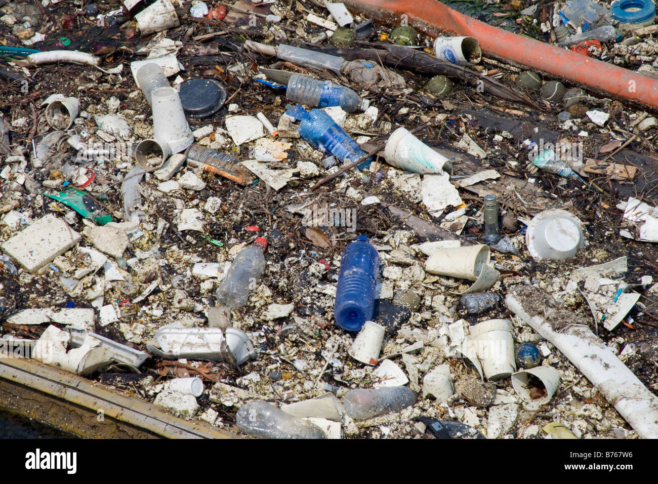 Plastic debris and other garbage collecting in Los Cerritos Channel ...
