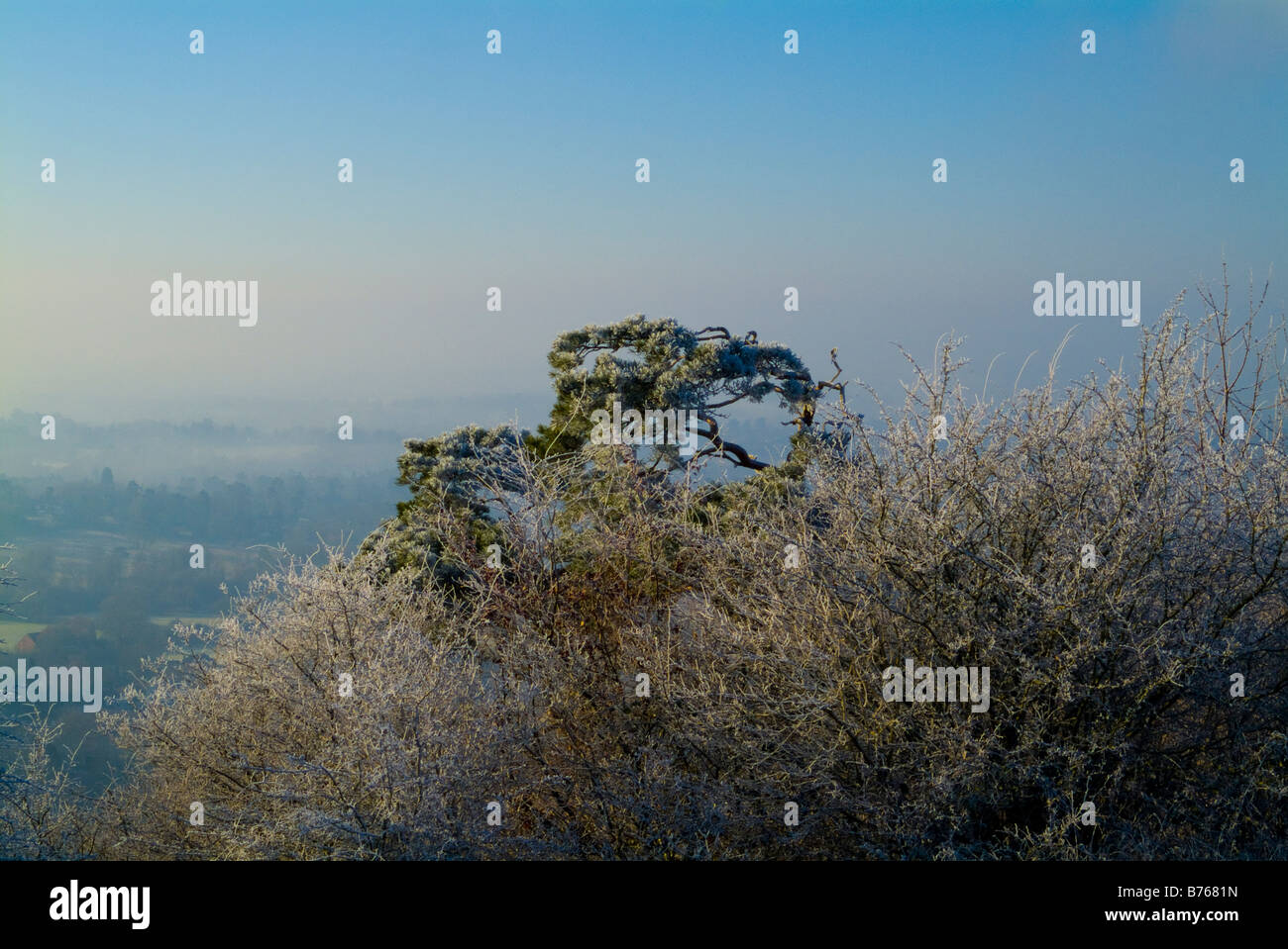 Colley hill reigate memorial in hi-res stock photography and images - Alamy