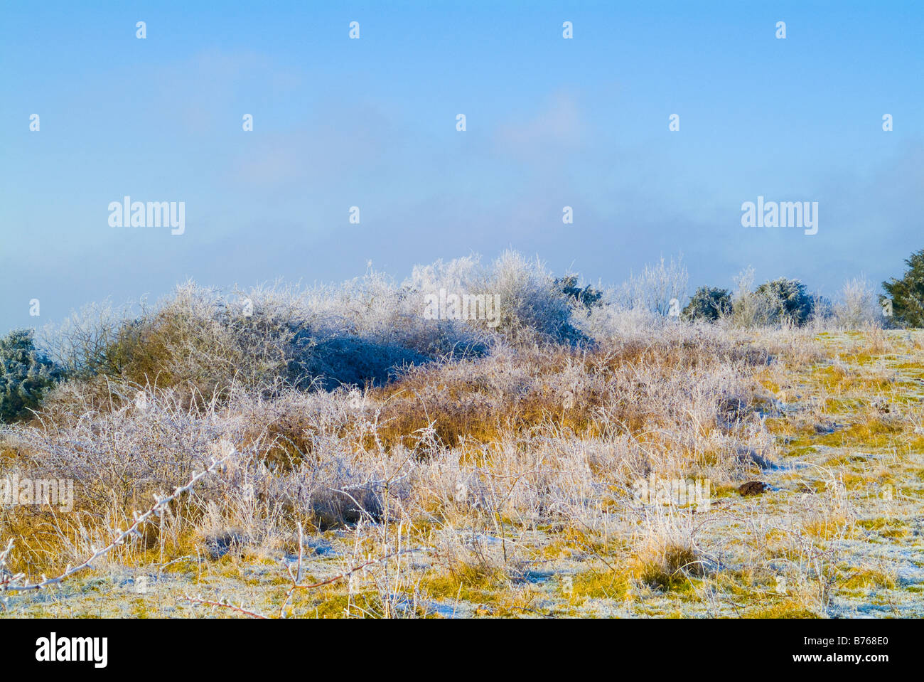 Colley hill reigate memorial in hi-res stock photography and images - Alamy
