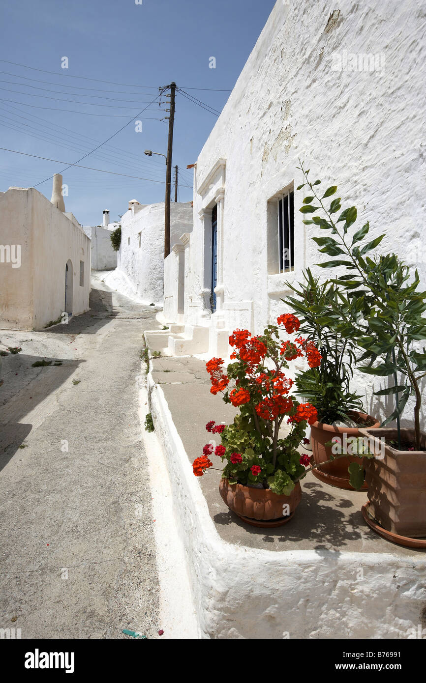 Rhodes flowers sunny europe greece hi-res stock photography and images ...