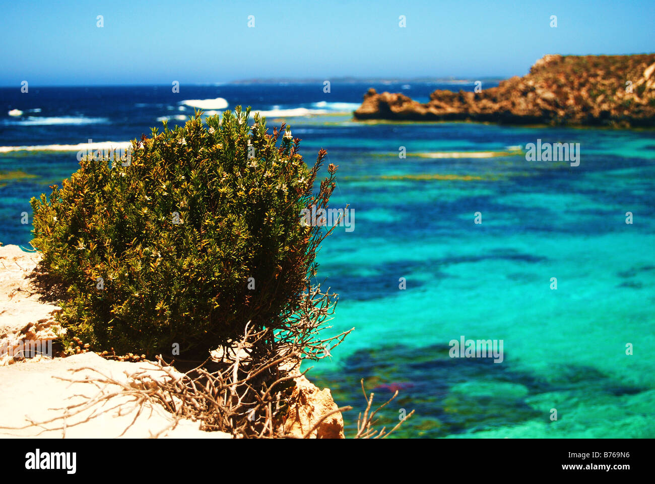 Wa rottnest island hi-res stock photography and images - Alamy