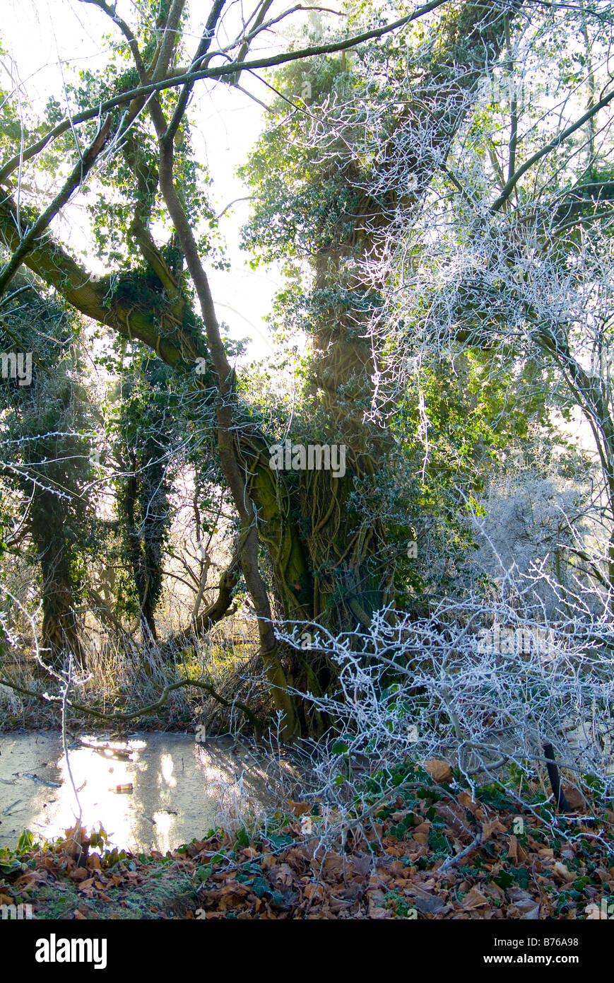 Reigate Hill, The Inglis Memorial at Colley Hill and in the winter ...