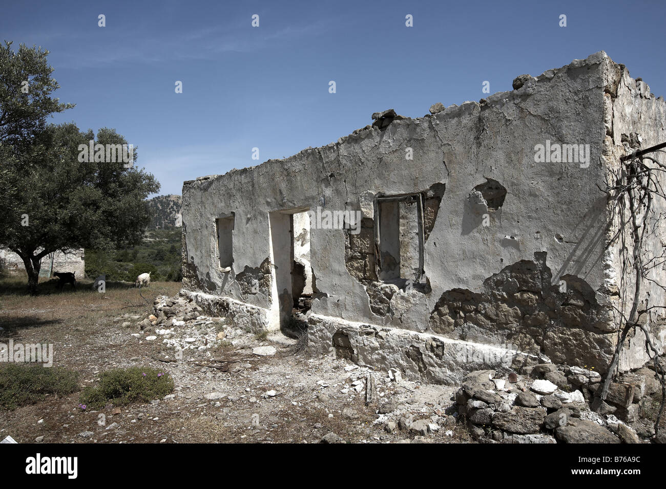 Ancient Greece Farm High Resolution Stock Photography and Images - Alamy