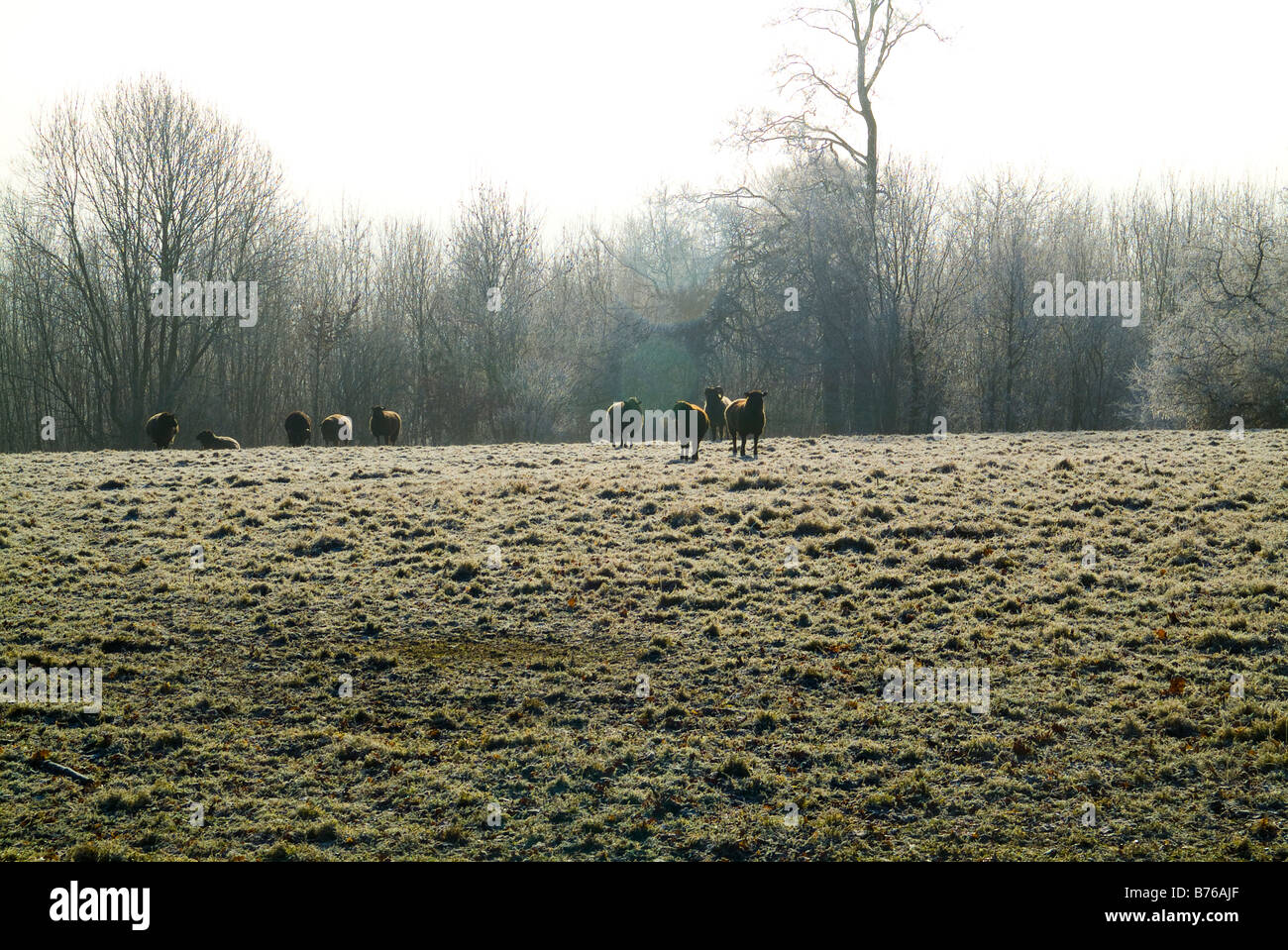 Reigate Hill, The Inglis Memorial at Colley Hill and in the winter ...