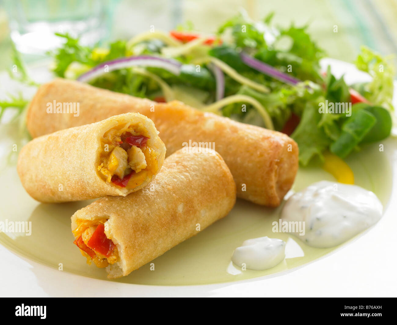 Chicken and vegetable salad hi-res stock photography and images - Alamy