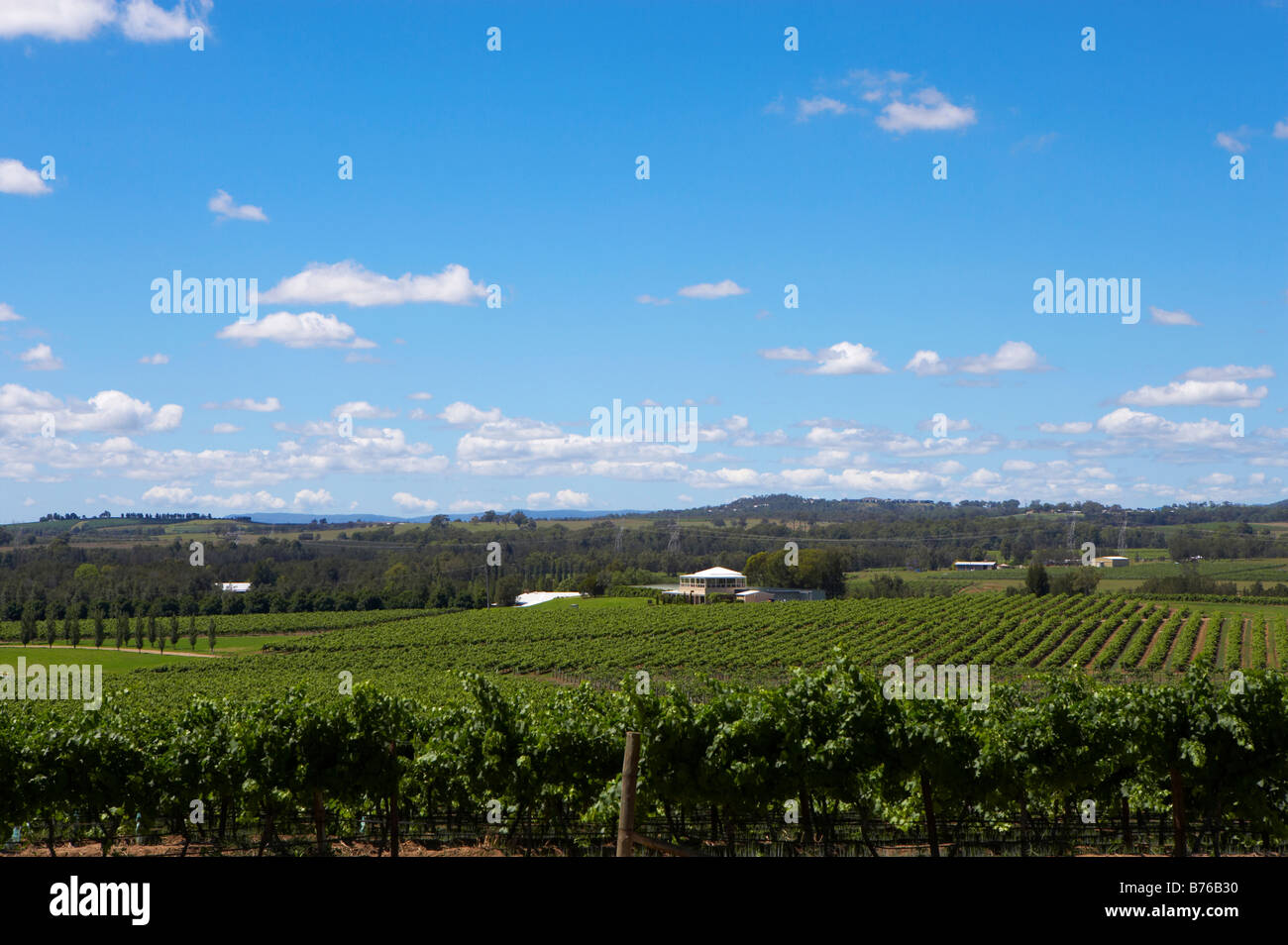 The wine house hunter valley hi-res stock photography and images - Alamy