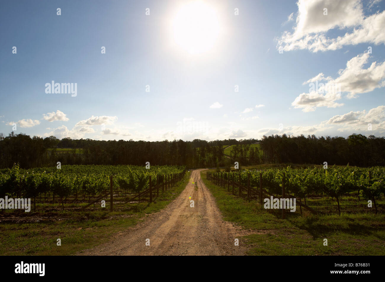 The wine house hunter valley hi-res stock photography and images - Alamy