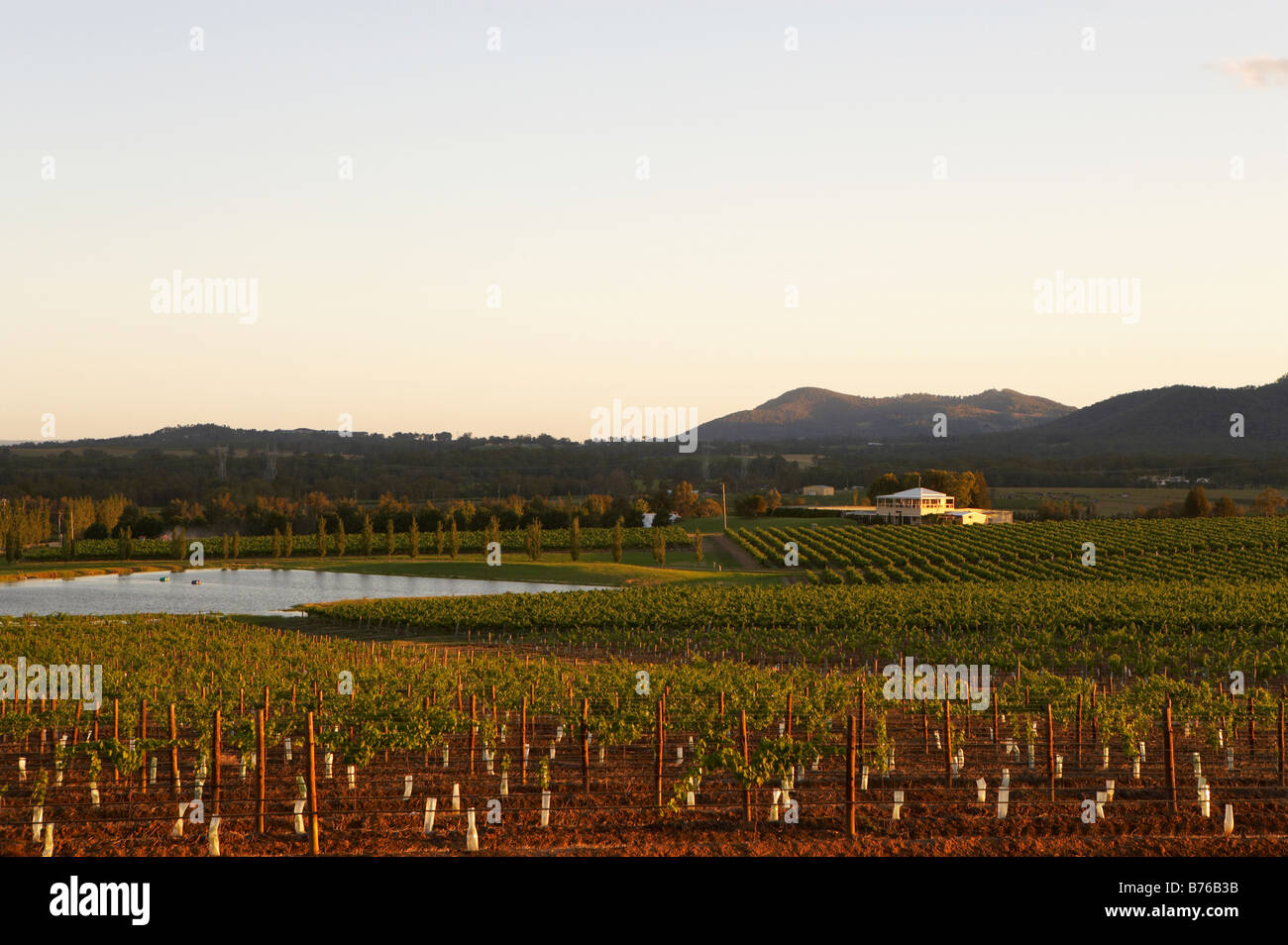 Wine house hunter valley australia hi-res stock photography and images ...
