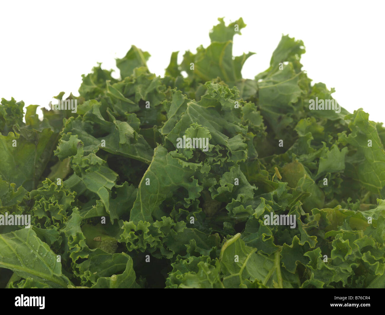 Curly curley kale fresh raw vegetables vegetable healthy food hi-res ...