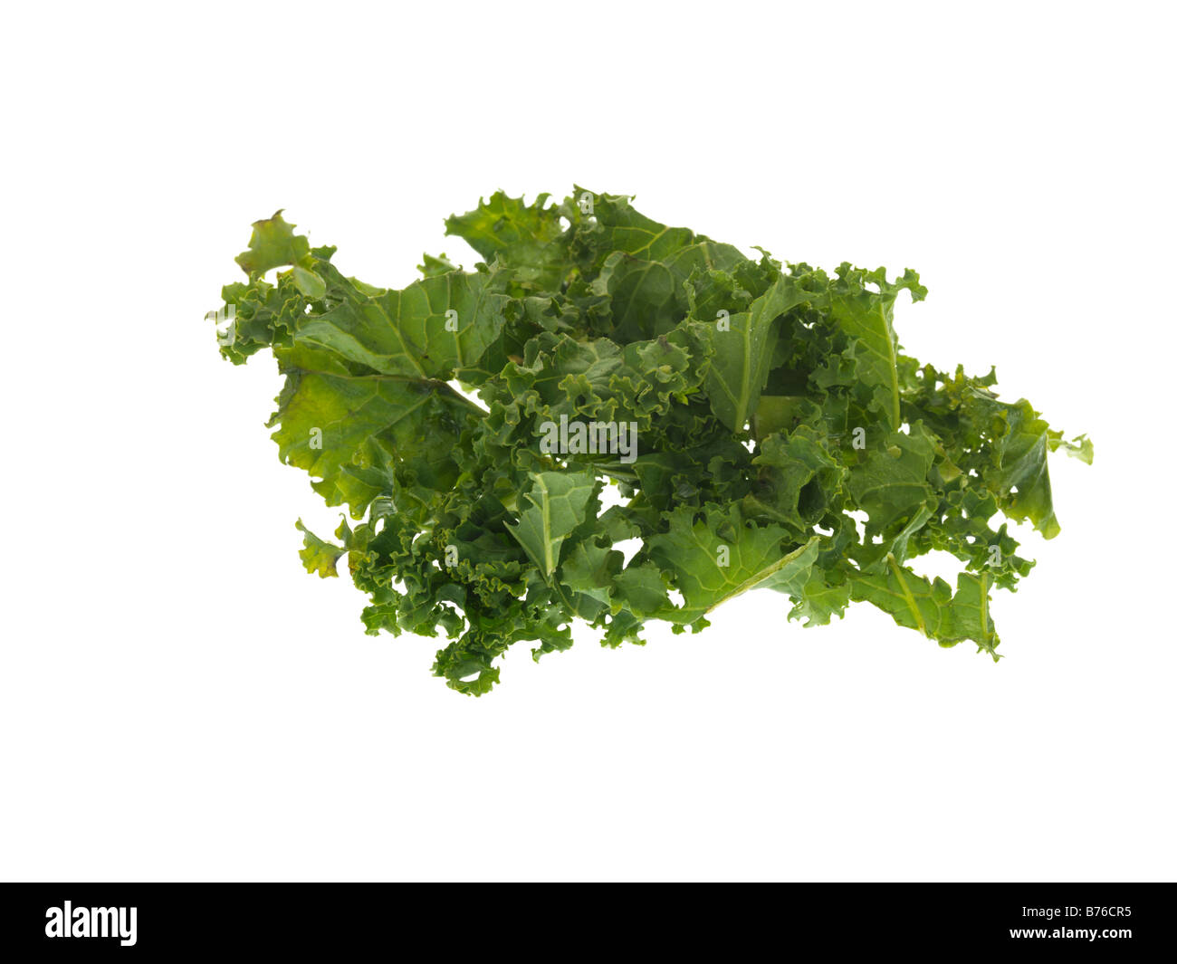 Curly curley kale fresh raw vegetables vegetable healthy food Cut Out ...