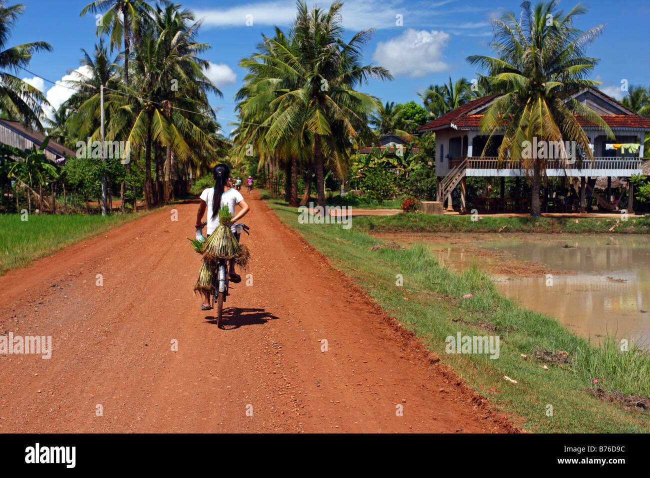 Girl riding her bicycle holding some rice sprouts in one hand, Kampot ...