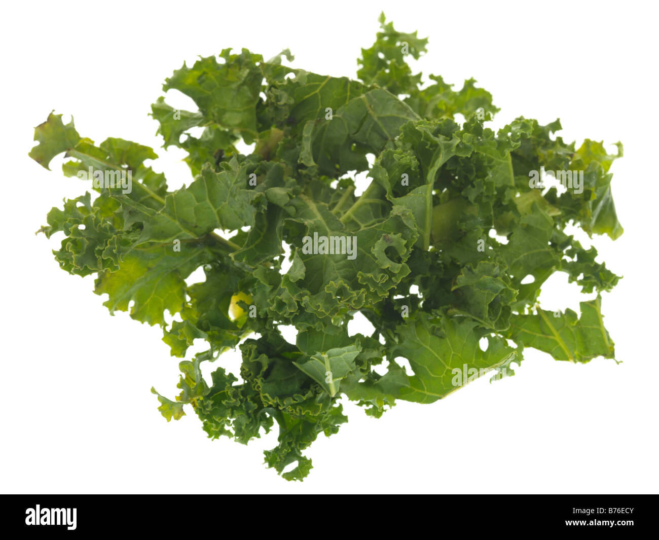 Curly curley kale fresh raw vegetables vegetable healthy food Cut Out ...