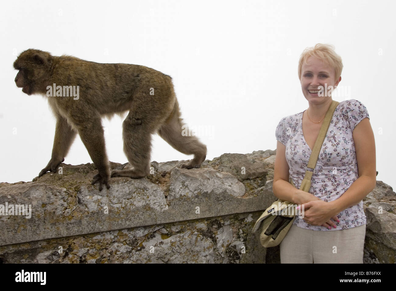 Woman monkey hi-res stock photography and images - Alamy
