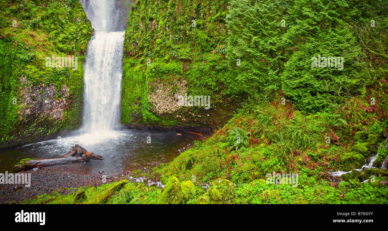 Multnomah falls in fall hi-res stock photography and images - Alamy