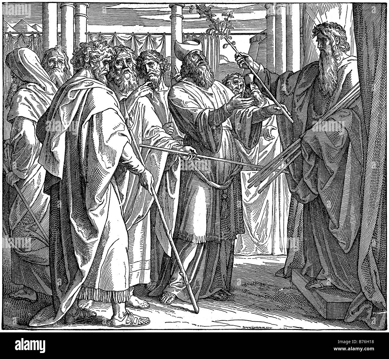 The rod of Aaron Stock Photo - Alamy