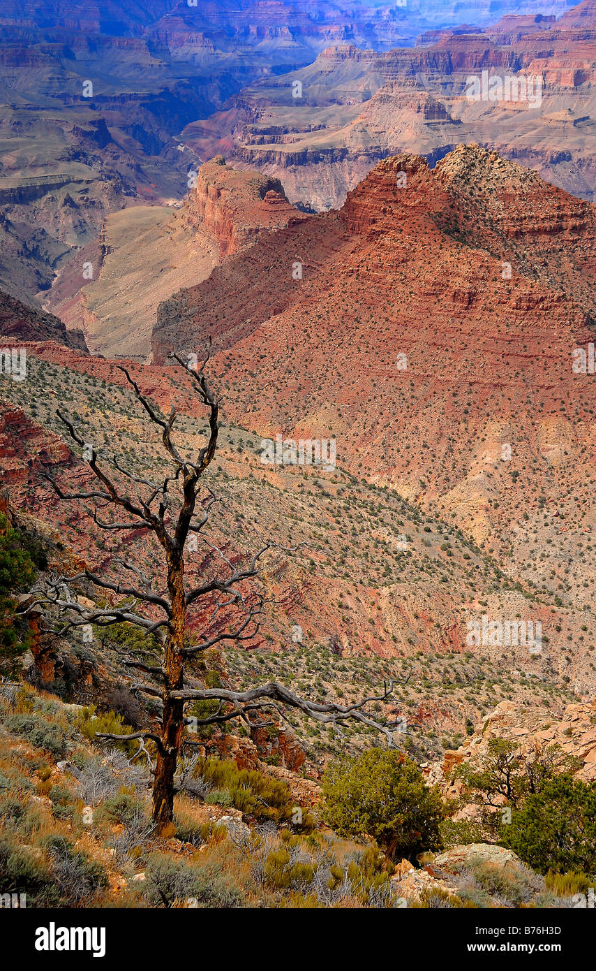 General view of The Grand Canyon from Desert View Lookout Tower ...