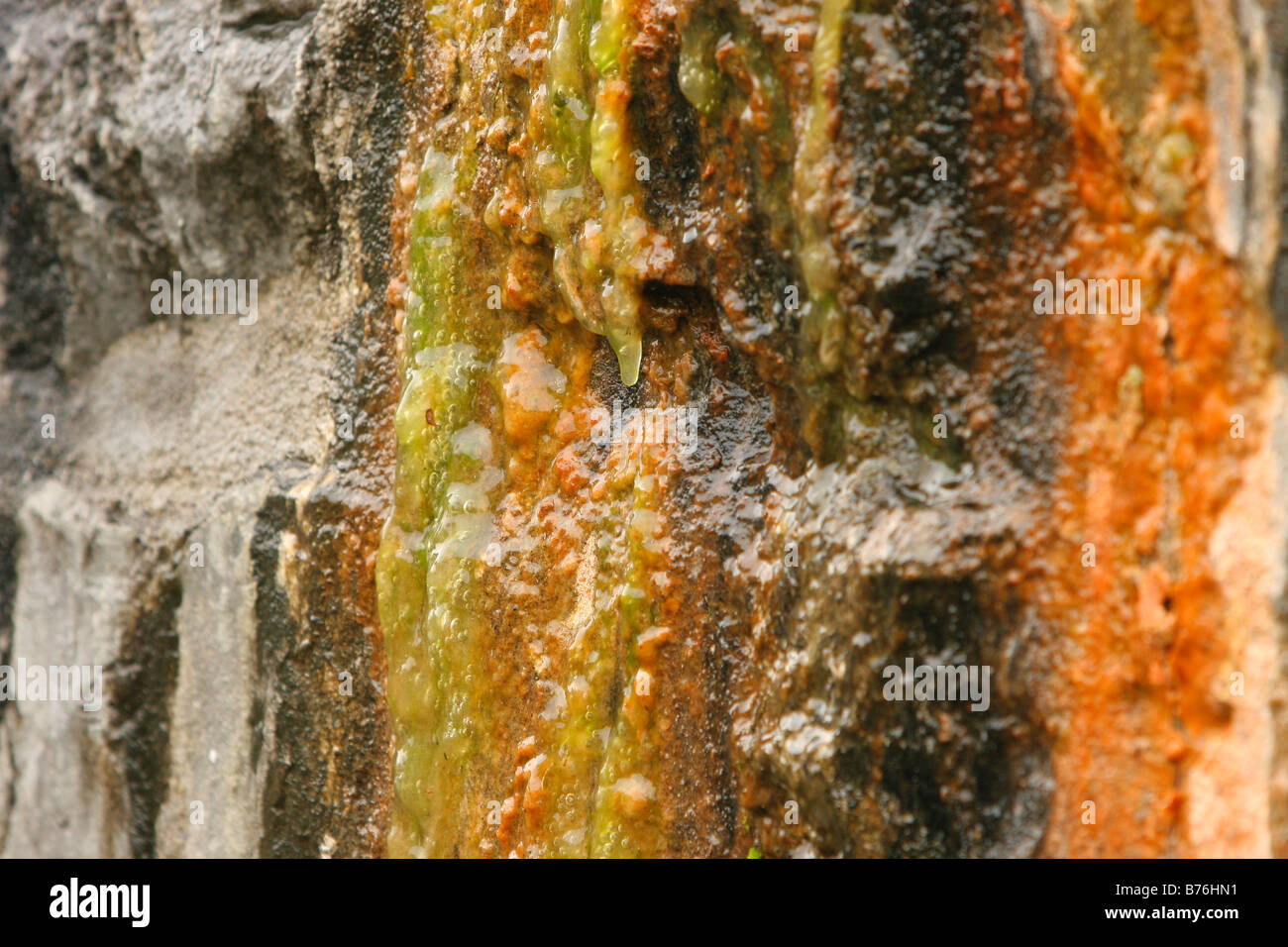 Coloured slime coming out of a stone wall Stock Photo - Alamy