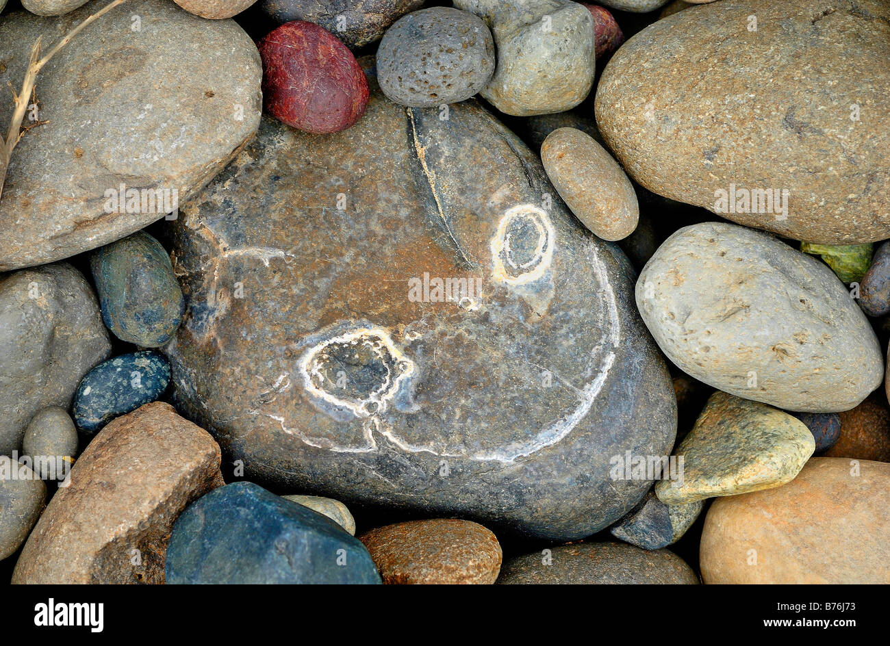 Pebbles on the banks of Snake River at Lewiston in Idaho, United States ...
