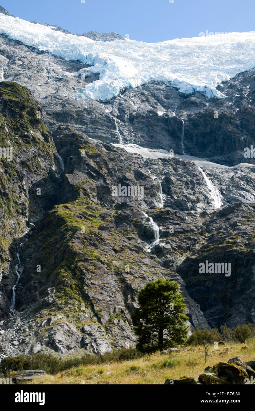 Rob roy glacier new zealand hi-res stock photography and images - Alamy