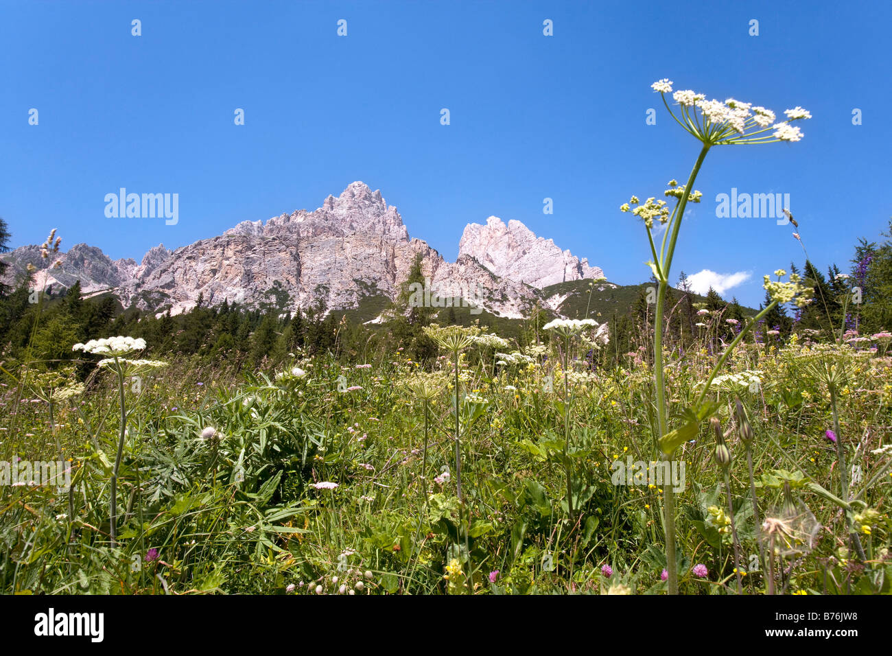 Monte Cristallo, Passo Tre Crocci, Dolomites, Veneto, Italy Stock Photo ...