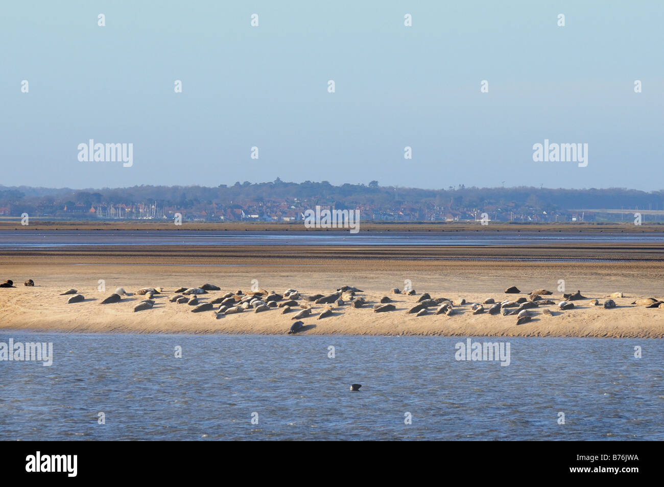 Iuhg hi-res stock photography and images - Alamy
