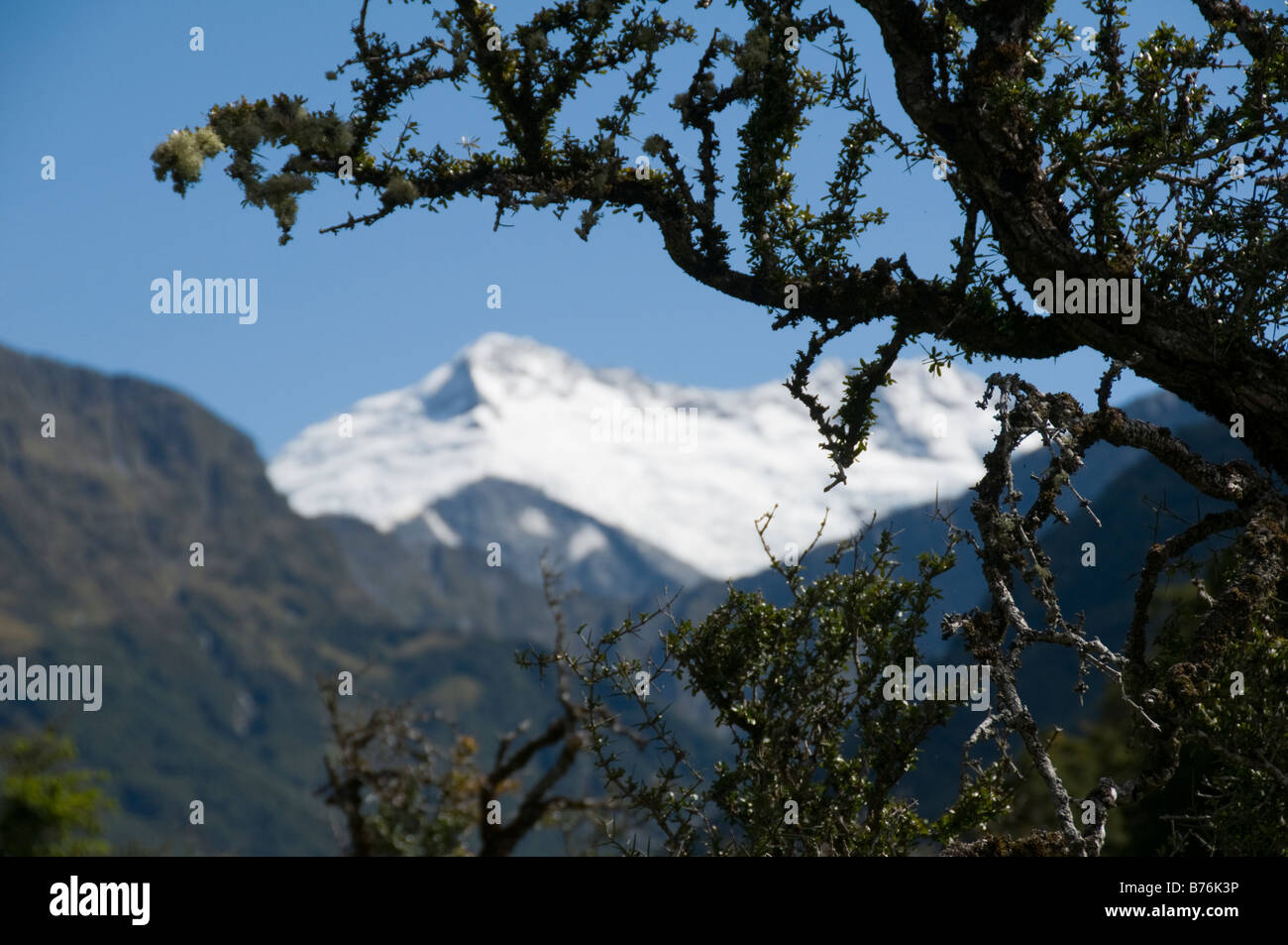 Mount Edward from the Matukituki valley, Mount Aspiring National Park ...