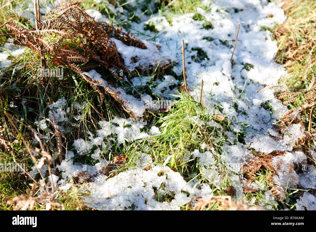 Melting snow January Stock Photo - Alamy