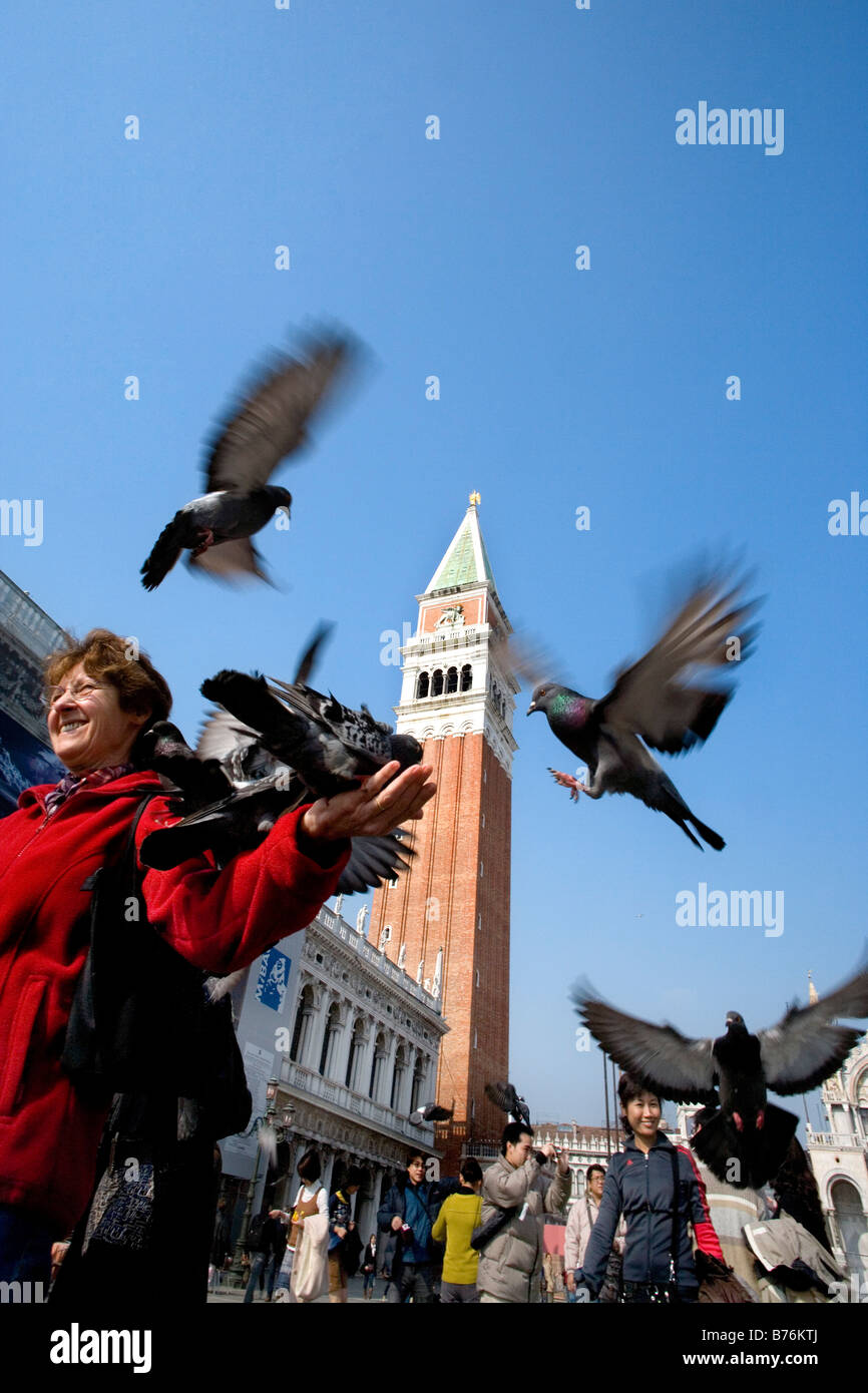 Pigeons square hi-res stock photography and images - Alamy