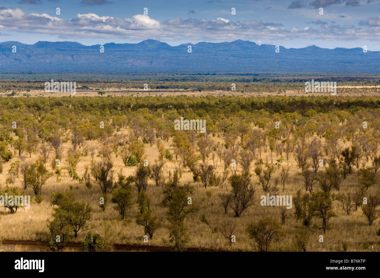 Meru National Park Kenya Stock Photo - Alamy