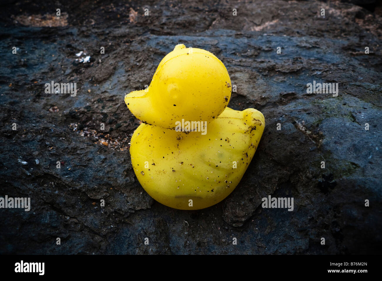 Rubber duck beach hi-res stock photography and images - Alamy