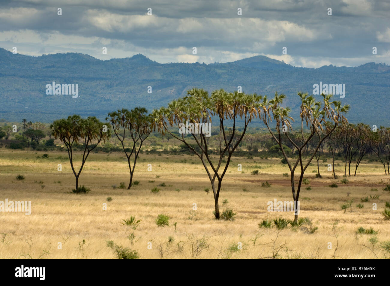 Meru National Park Kenya Stock Photo - Alamy