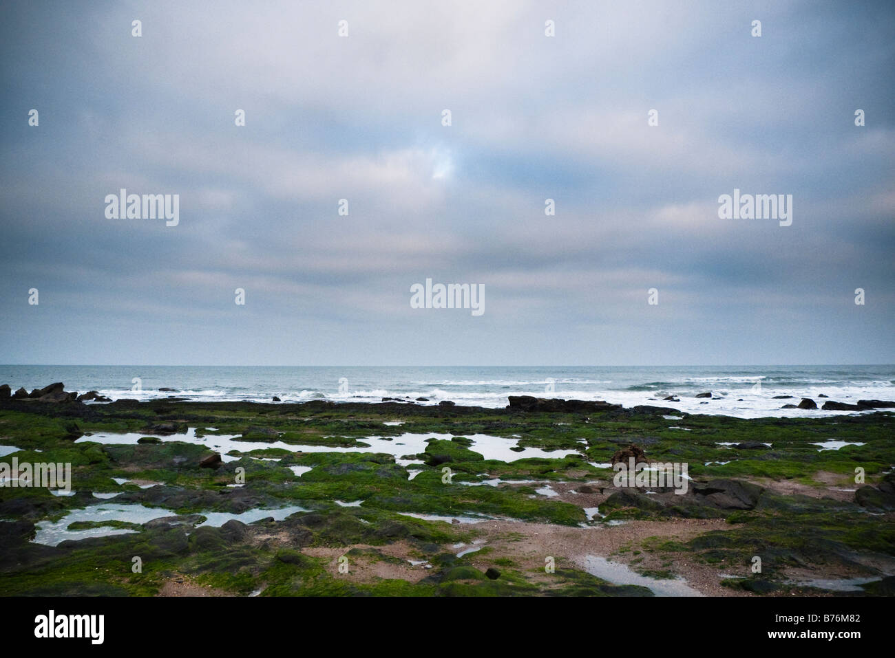 Shore pools hi-res stock photography and images - Alamy
